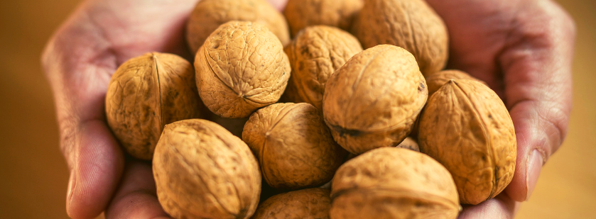 Trickett's Grove Walnuts - Fresh NZ Walnuts | Direct from NZ Growers